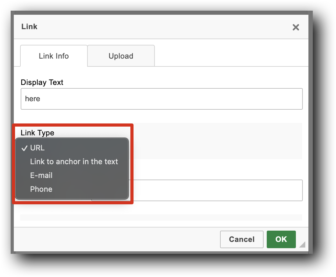 How to Use the Text Editor To Add Images
