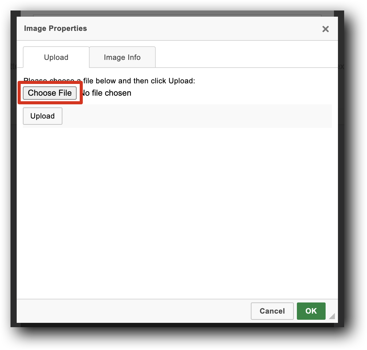 How to Use the Text Editor To Add Images