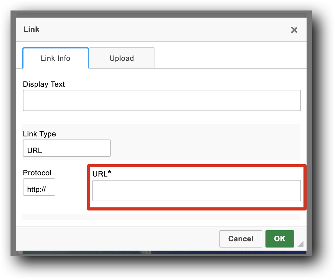 How to Use the Text Editor To Add Images