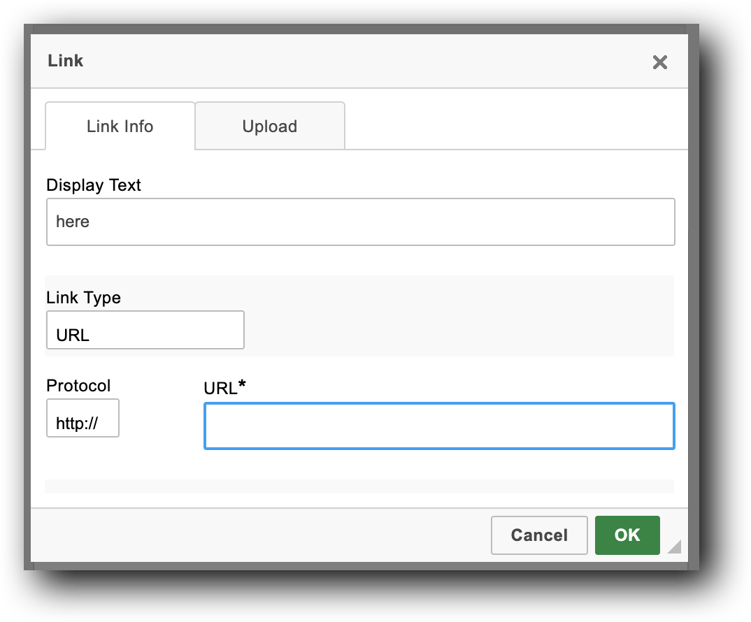 How to Use the Text Editor To Add Images